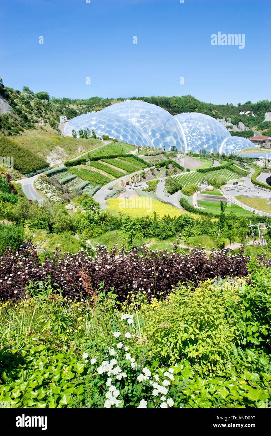 The Rainforest (Humid Tropics) Biome at the Eden Project on a summers ...