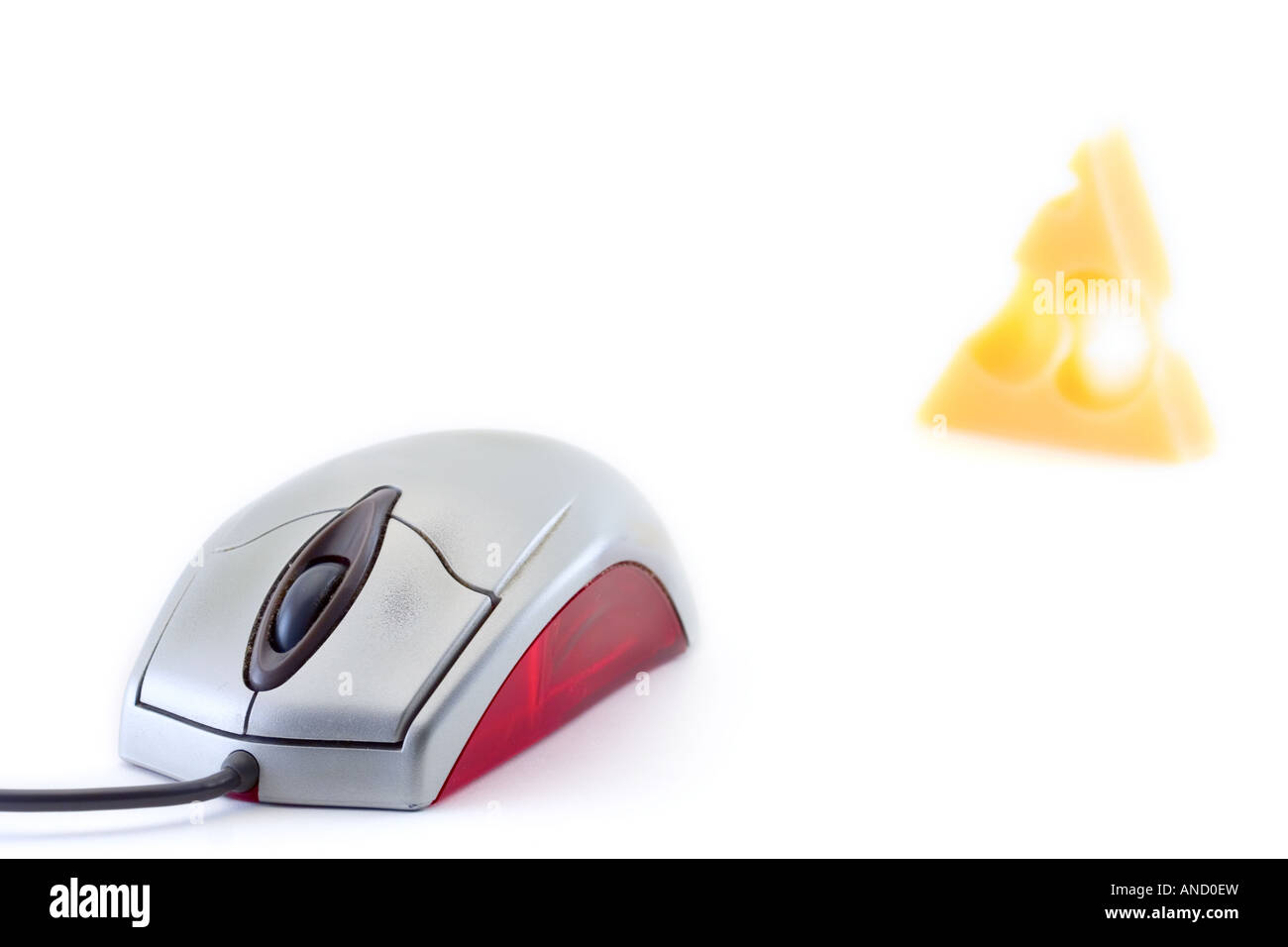 Mouse and a piece of cheese Stock Photo - Alamy