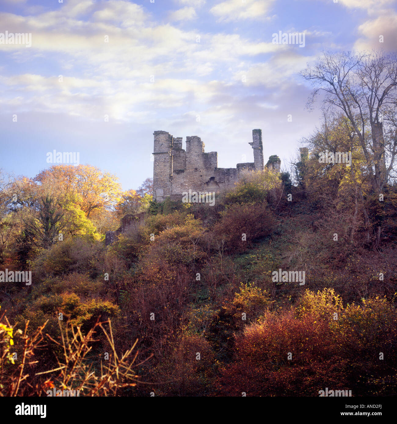 Berry pomeroy castle hi-res stock photography and images - Alamy