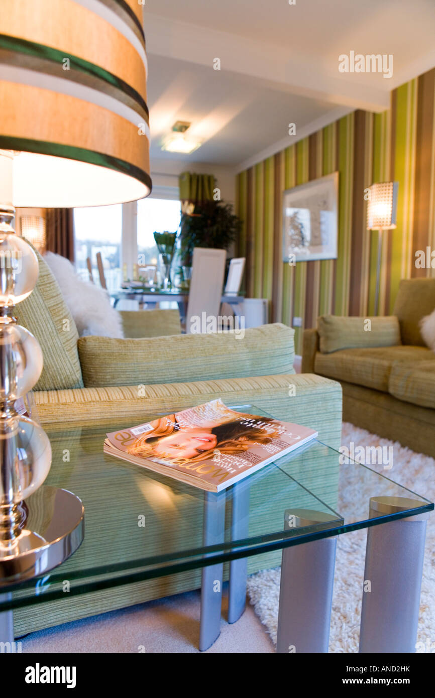 CONTEMPORARY HOME INTERIOR Stock Photo - Alamy