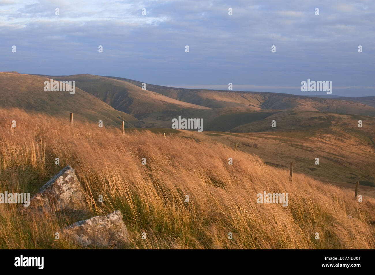 The Cheviot Hills In the Autumn Stock Photo - Alamy