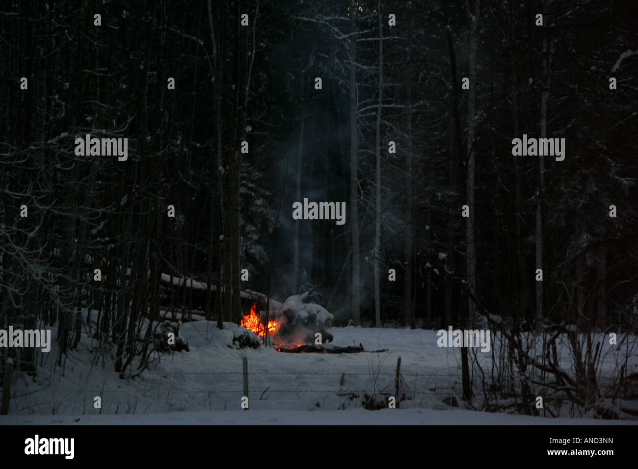 burning wood fire in the forest Bavaria Germany Europe Stock Photo - Alamy