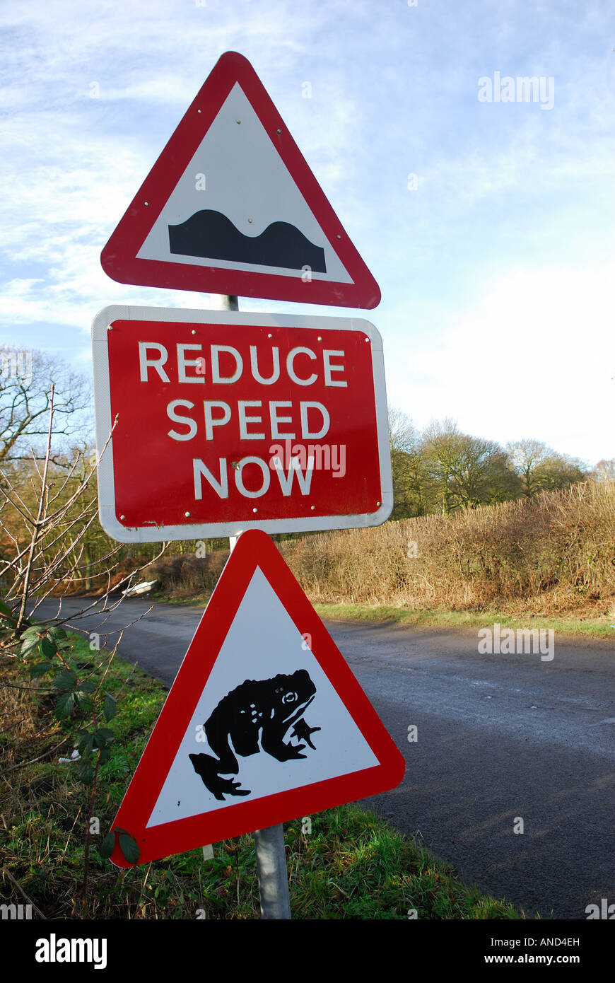 Toads road sign hi-res stock photography and images - Alamy
