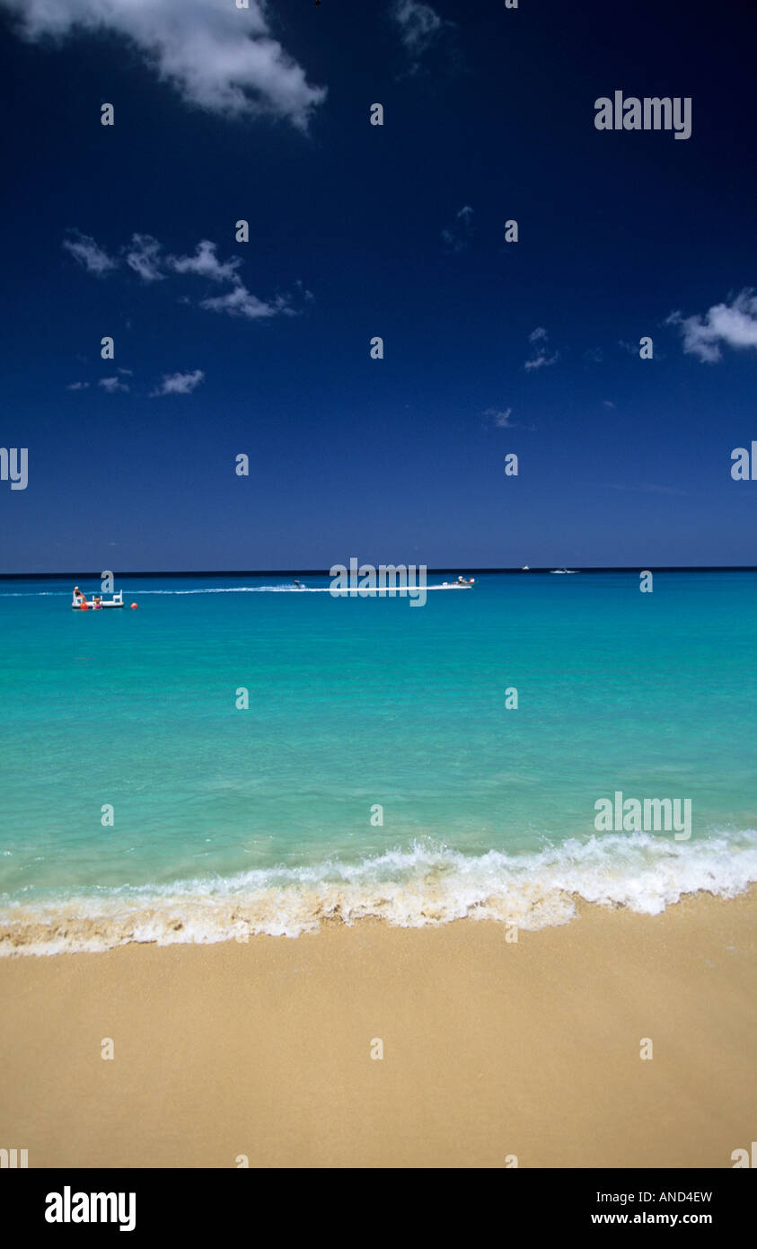 caribbean west indies barbados a tropical beach Stock Photo - Alamy