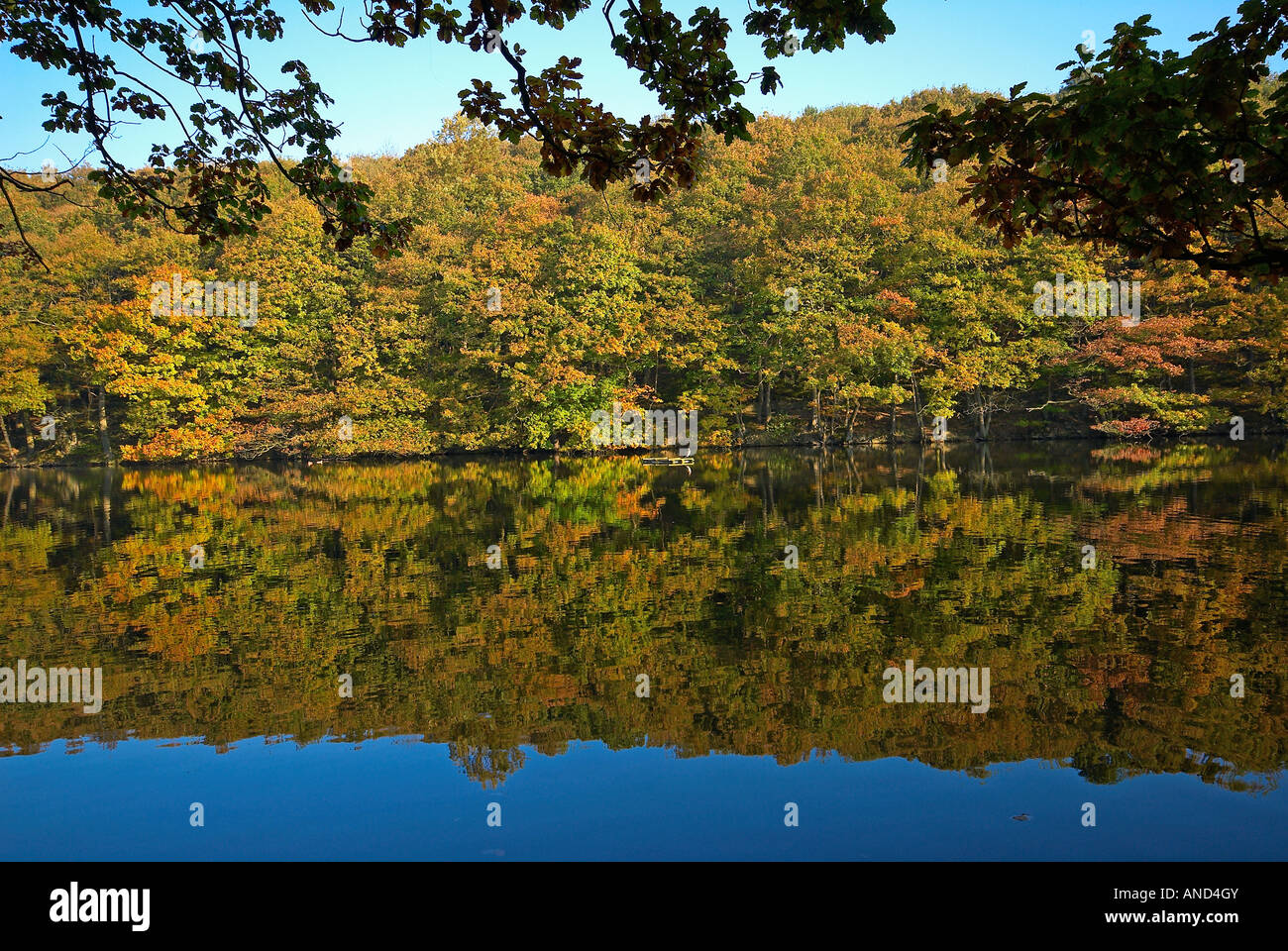 Linacre Reservoir High Resolution Stock Photography and Images - Alamy