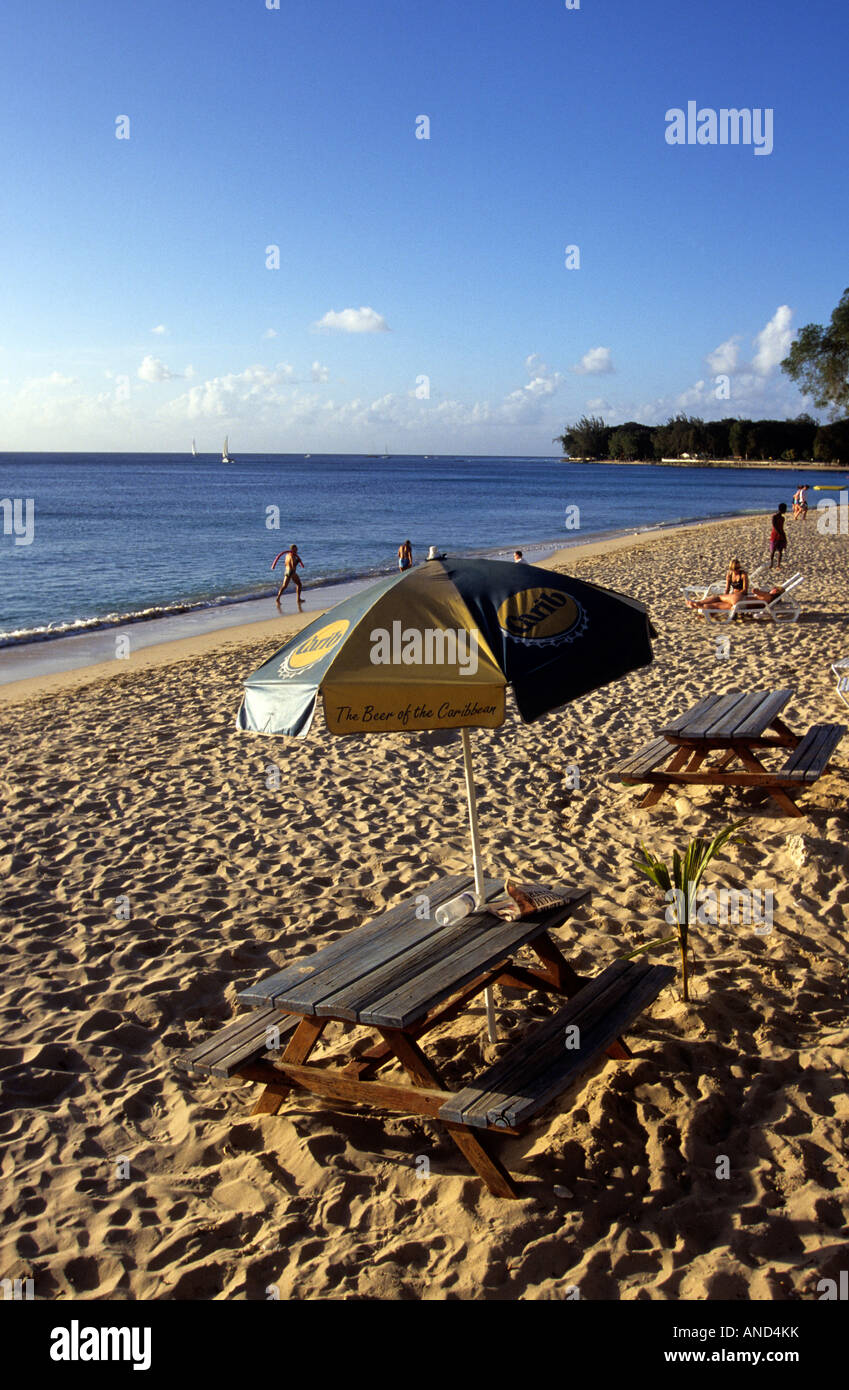 caribbean west indies barbados a tropical beach Stock Photo - Alamy