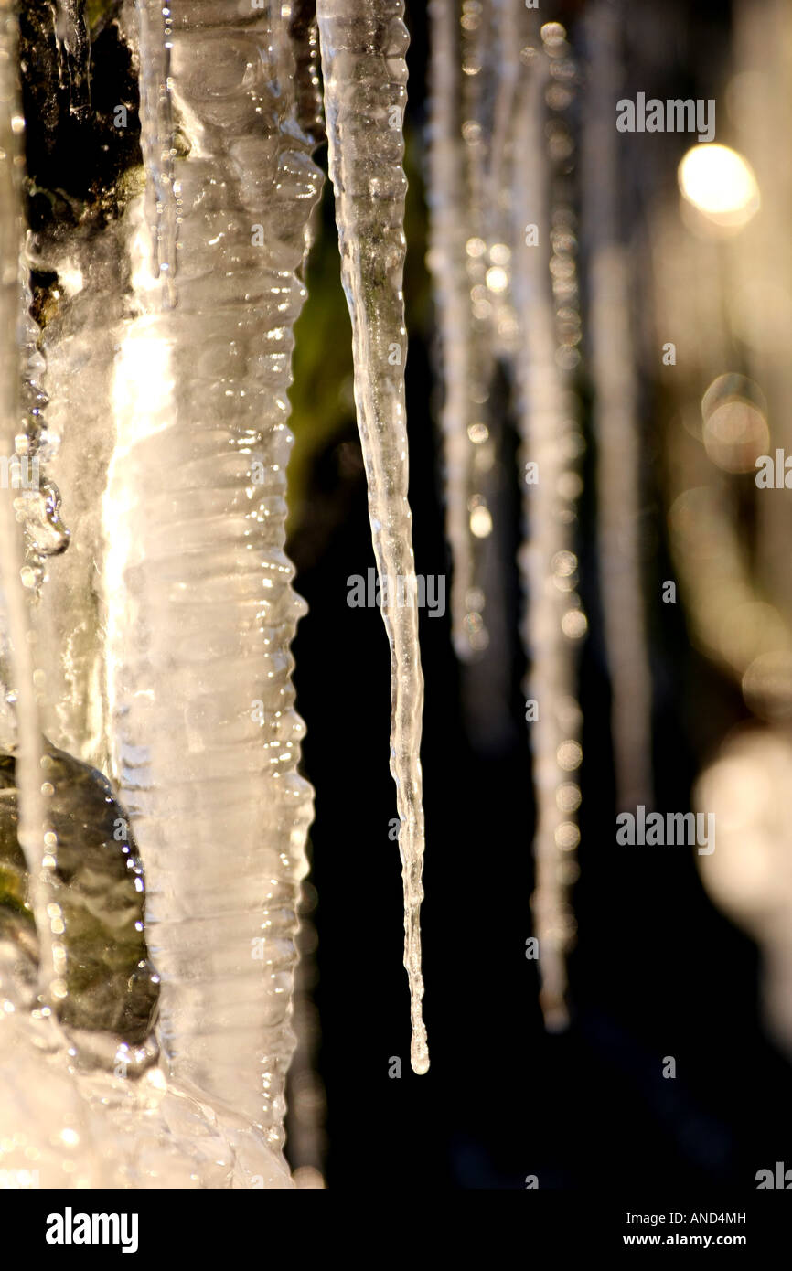 Large icicles formed by dripping water during winter near Ballater ...