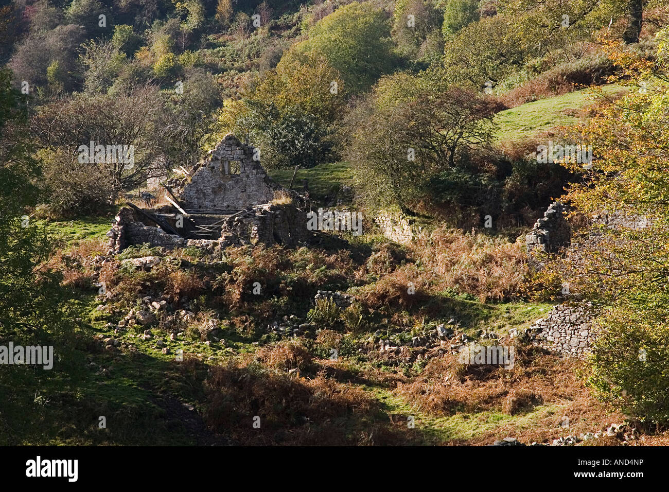 derelict stone farmhouse in Nant Llanellen SE Wales Stock Photo - Alamy