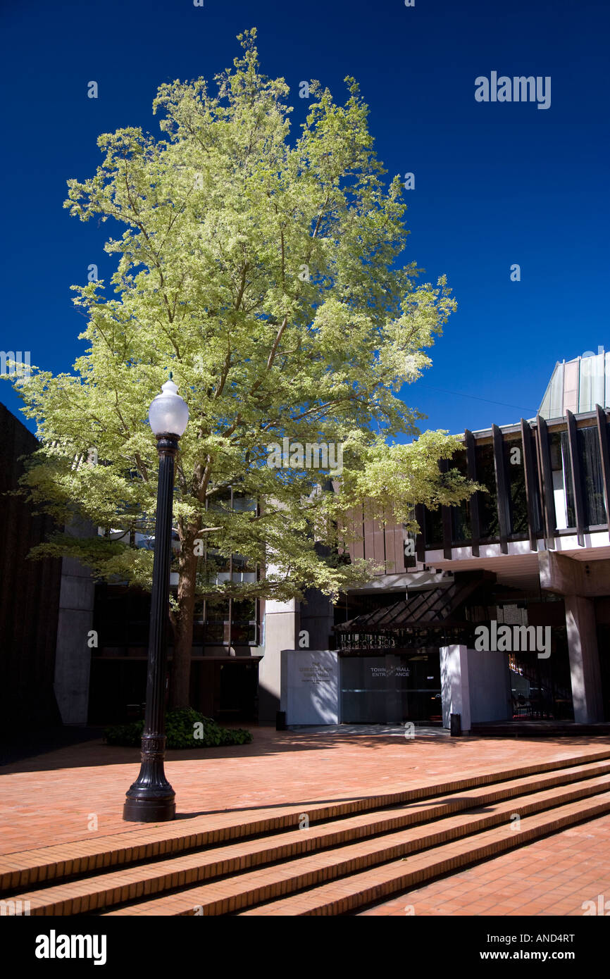 Christchurch town hall on a clear bright day, New zealand Stock Photo ...