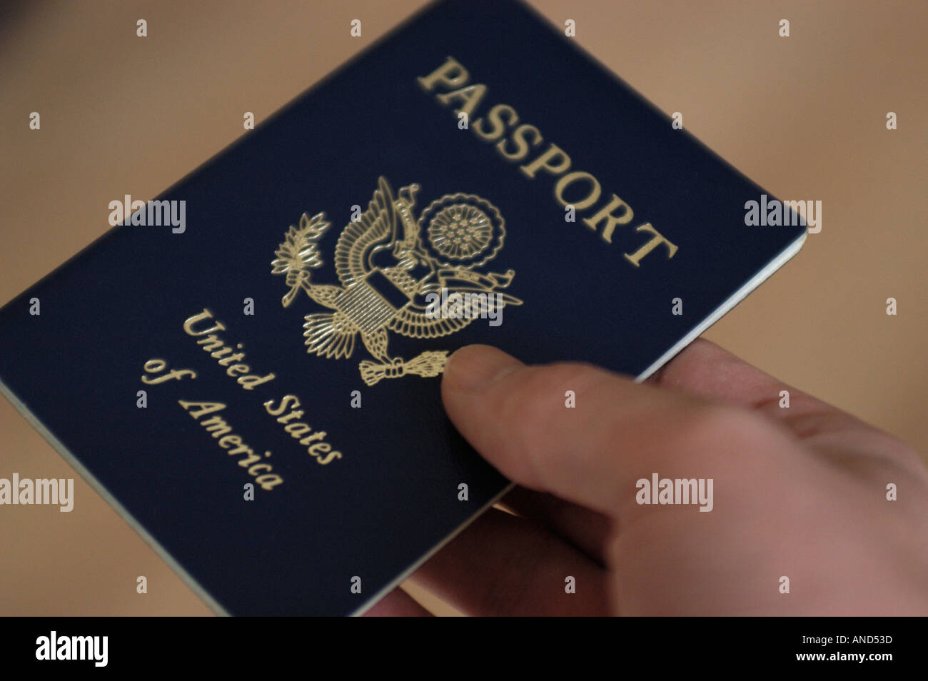 American passport held in hand Stock Photo - Alamy