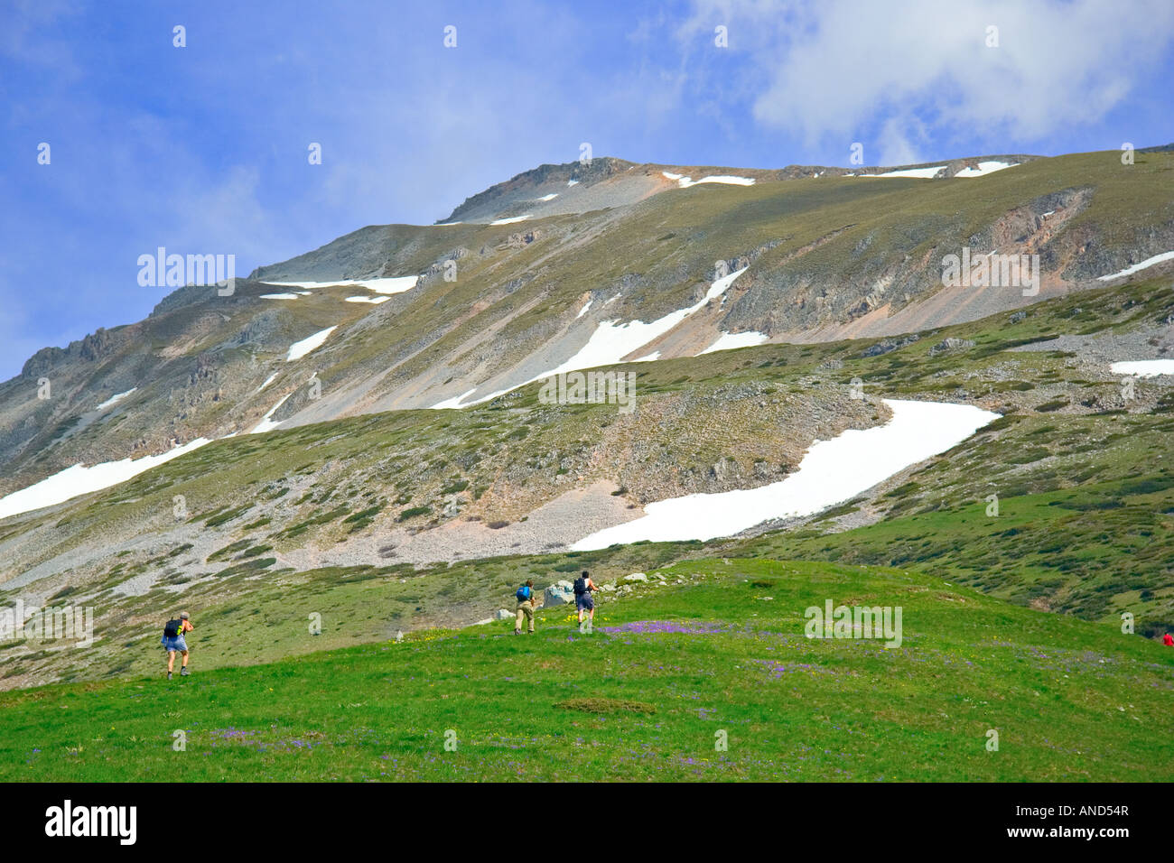 Climbers on mountain Shar Planina Stock Photo - Alamy