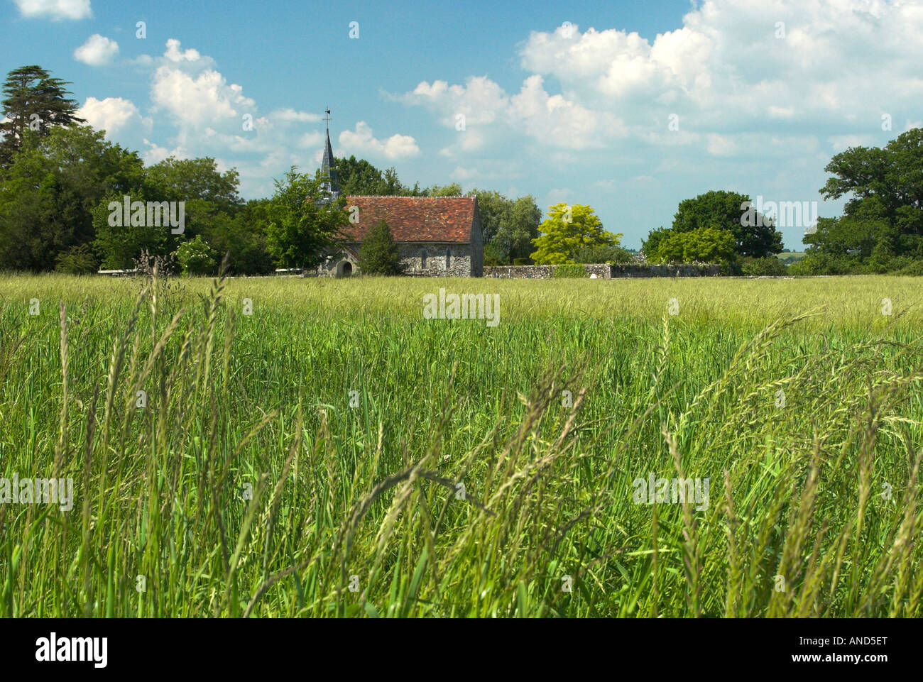 Greatham Parish Church, West Sussex Stock Photo - Alamy