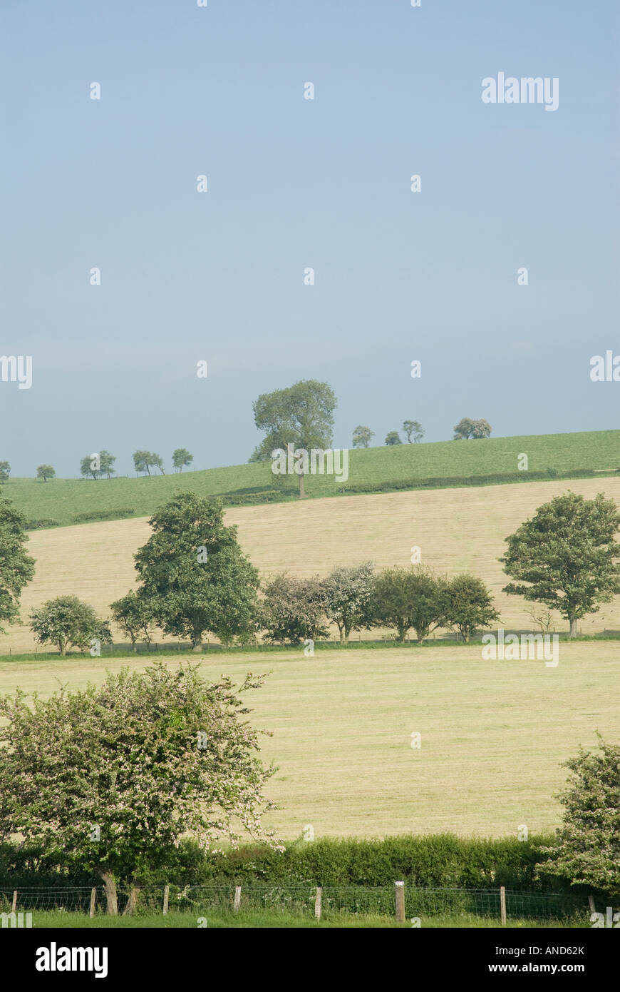Summer countryside england hi-res stock photography and images - Alamy