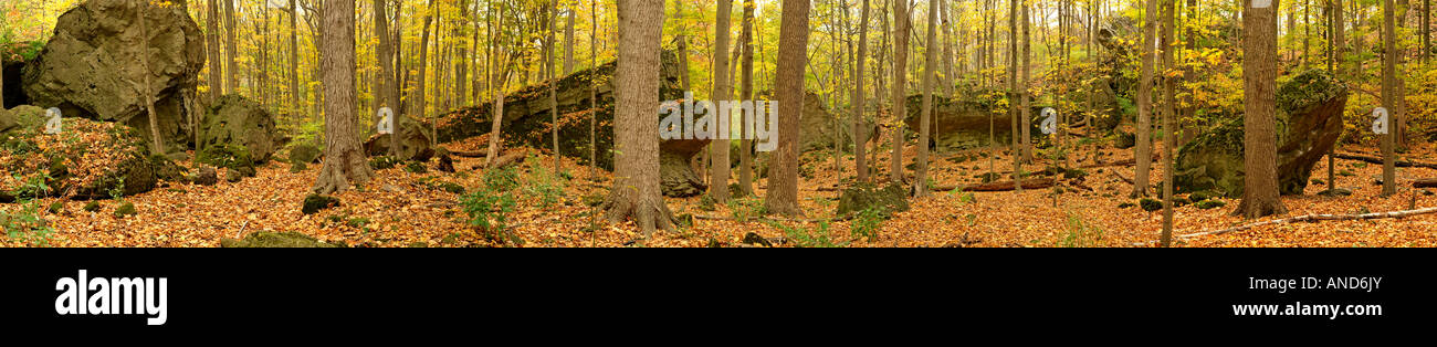 Canada Ontario Niagara Falls The Niagara Glen Niagara Parkway forest in ...