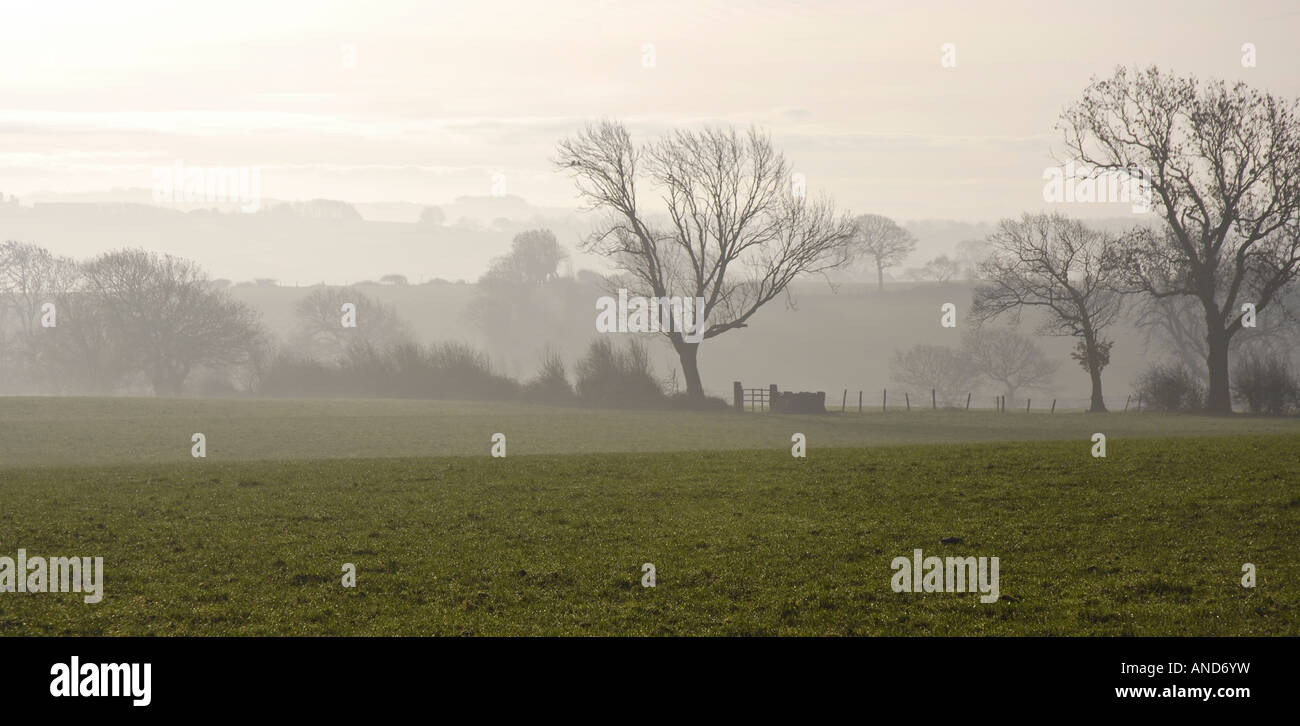 Misty Morning Landscape Stock Photo - Alamy