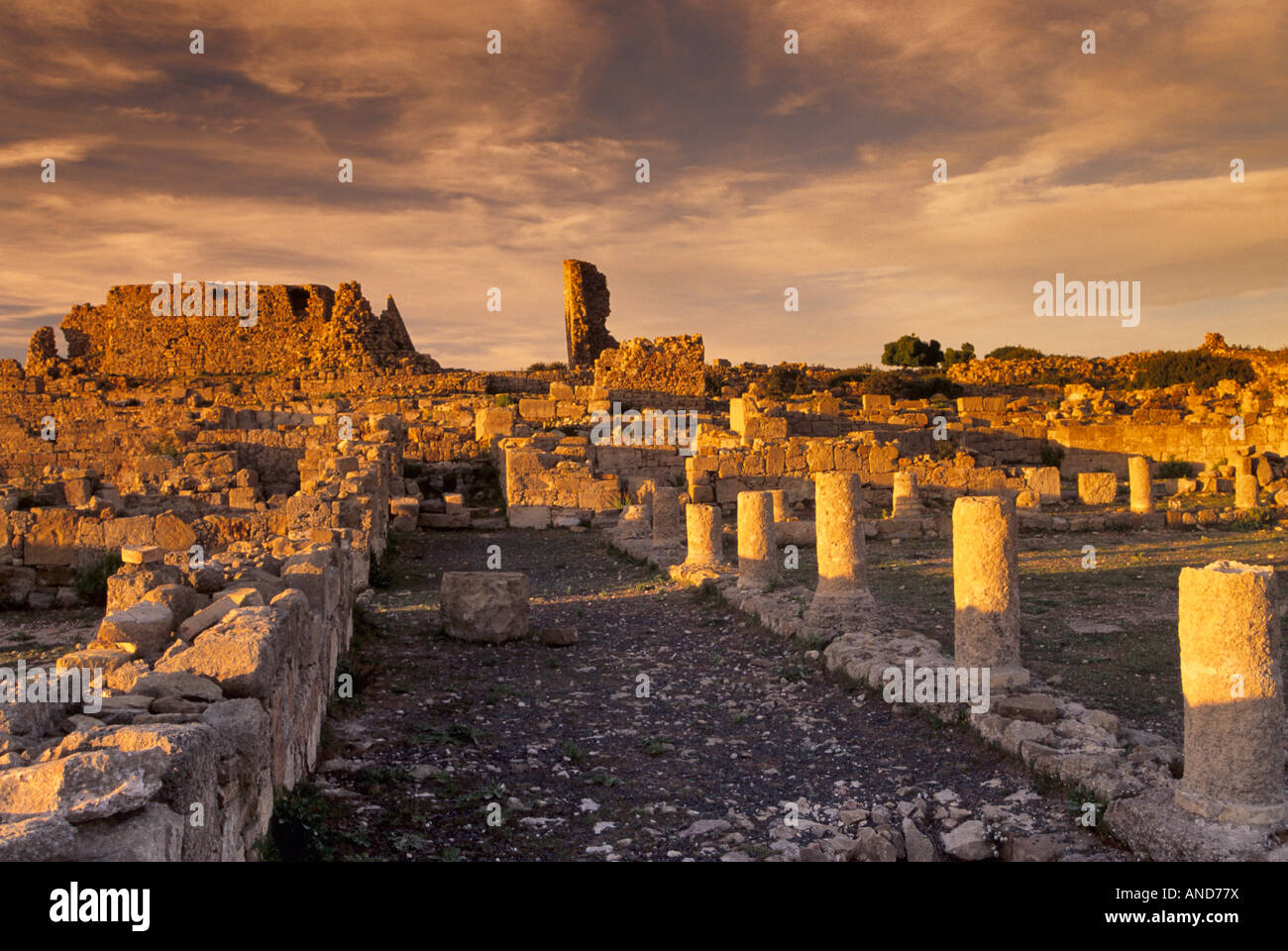Lixus morocco hi-res stock photography and images - Alamy