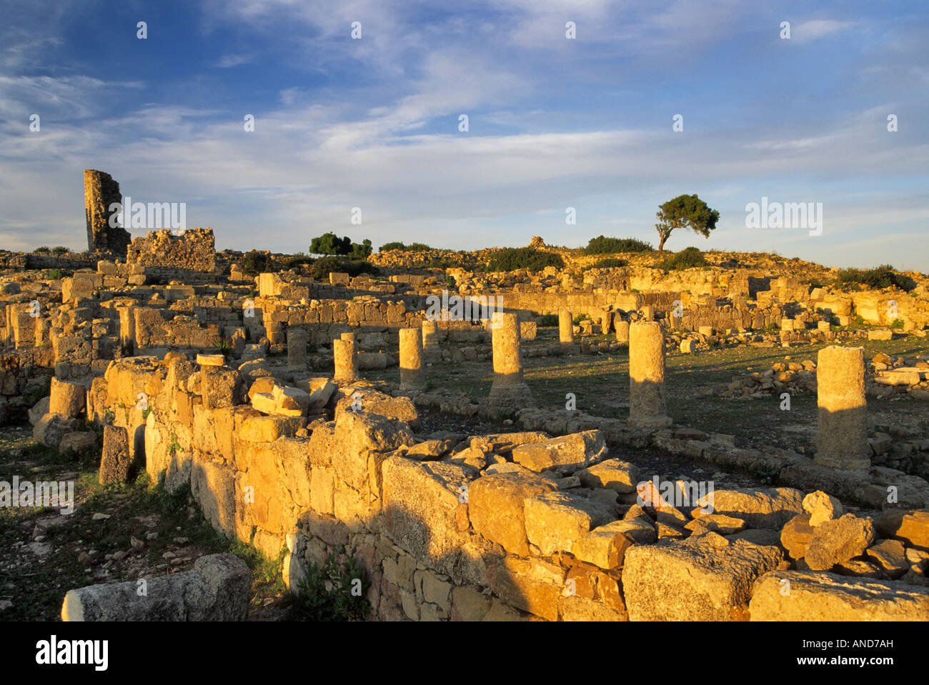 Roman temples ruins at Lixus Morocco Stock Photo - Alamy