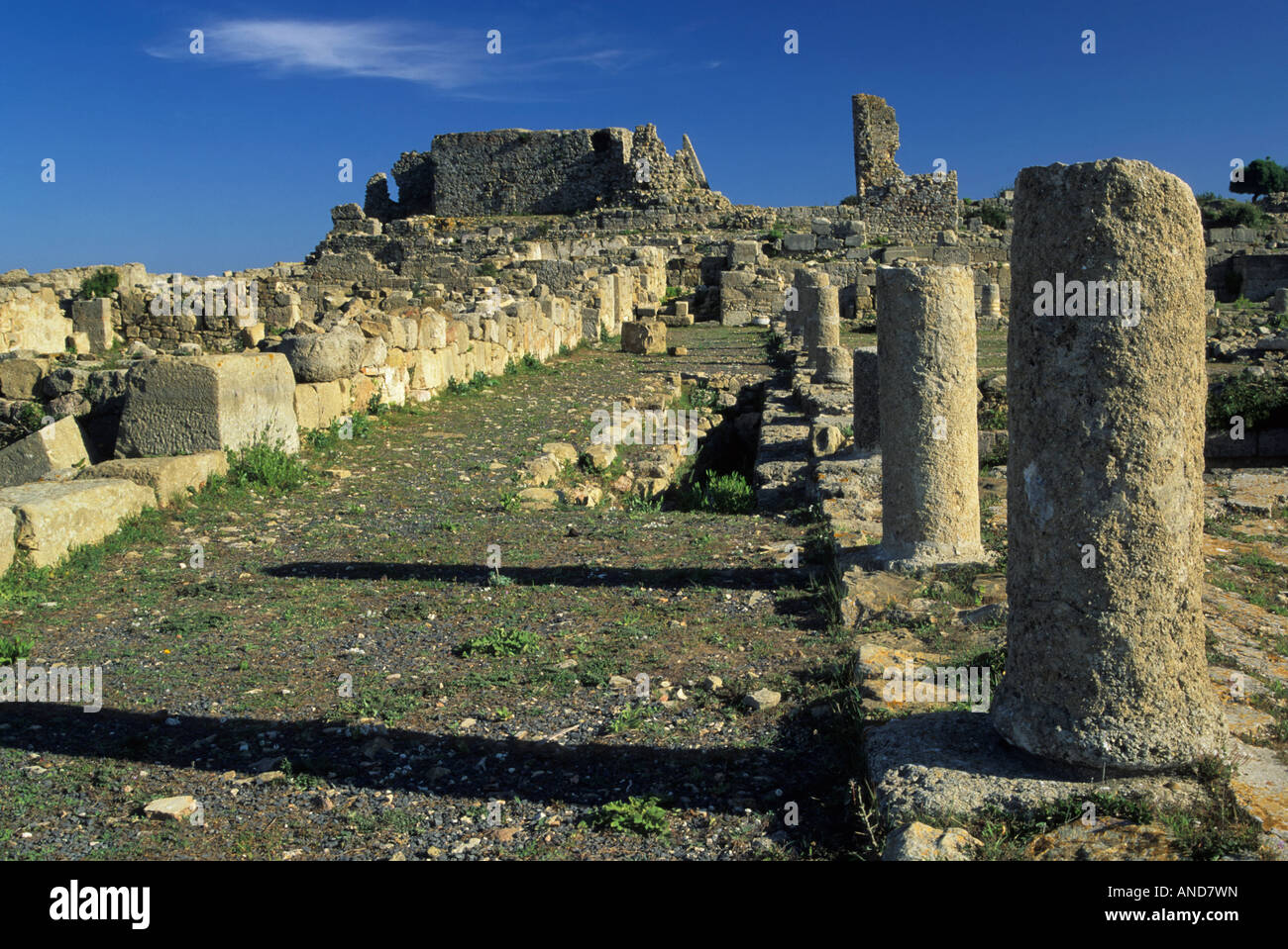 Islamic temples hi-res stock photography and images - Alamy