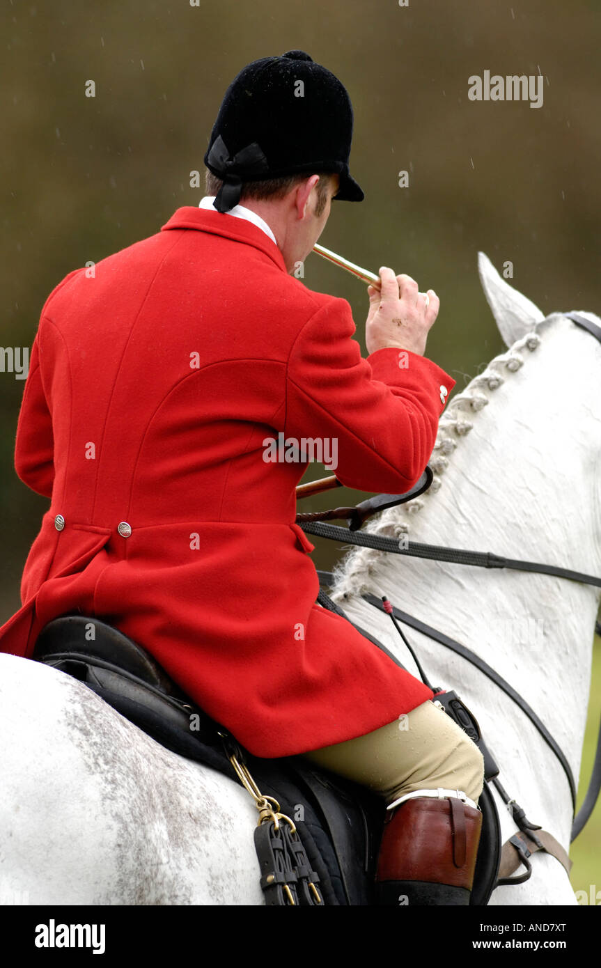 hunting with dogs fox hunting with hounds and horses outlawed banned ...