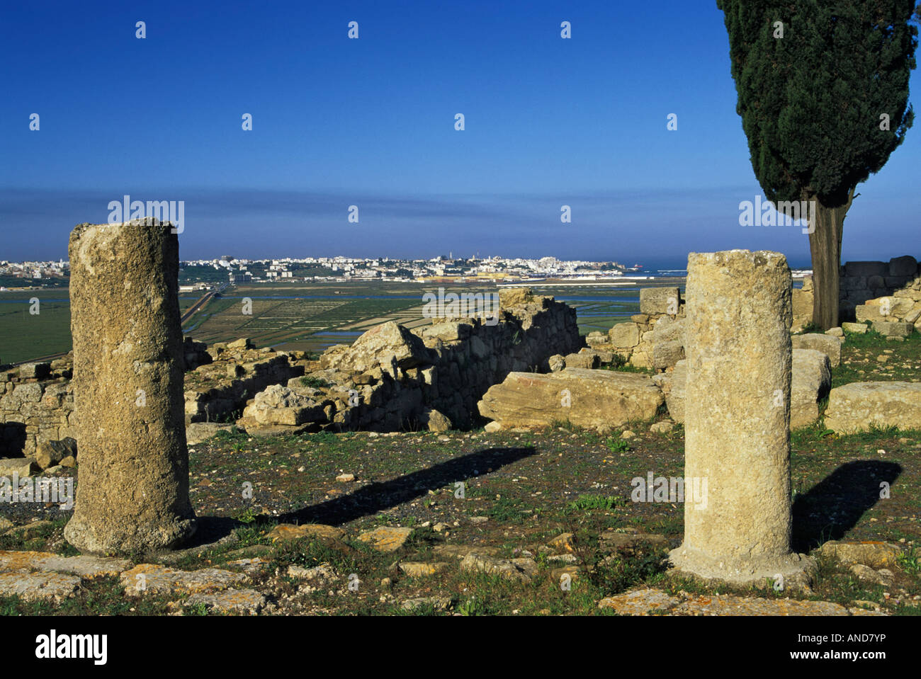 Roman temples ruins at Lixus Morocco town port of Larache in distance ...