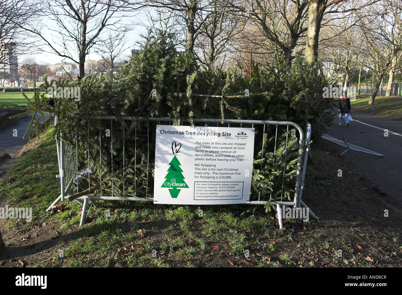 Christmas tree recycling Stock Photo - Alamy