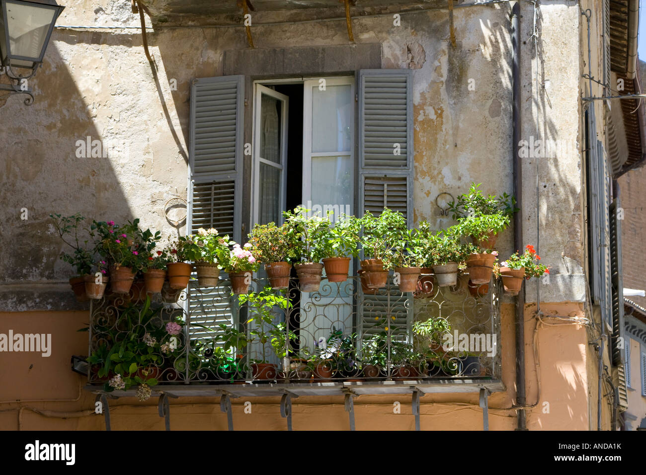 Window with pot plants Orvieto Italy Stock Photo - Alamy
