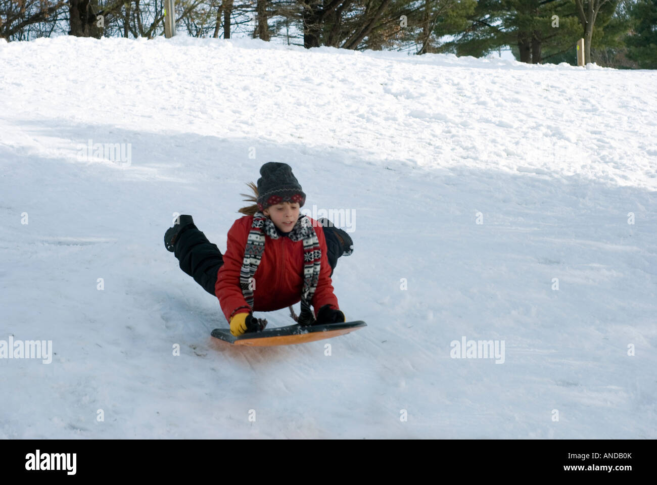sledding on the snow is fun on a cold winter day Stock Photo - Alamy