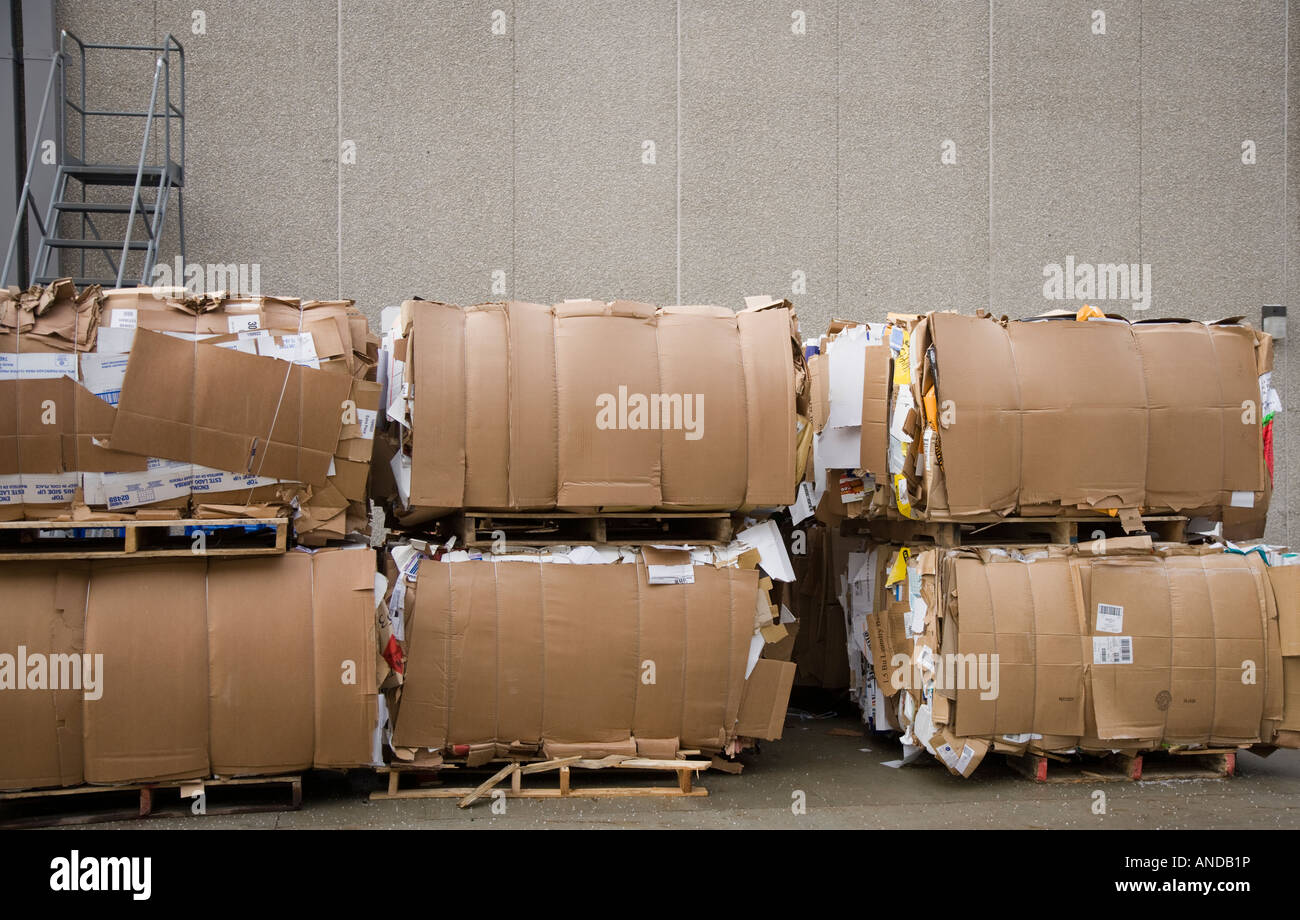 Bundles of cardboard and paper for recycling Stock Photo - Alamy