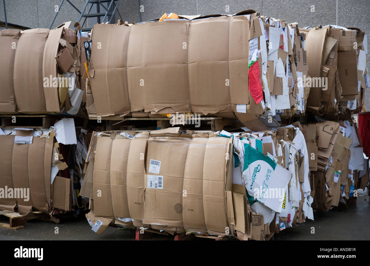 Bundles of cardboard and paper for recycling Stock Photo - Alamy