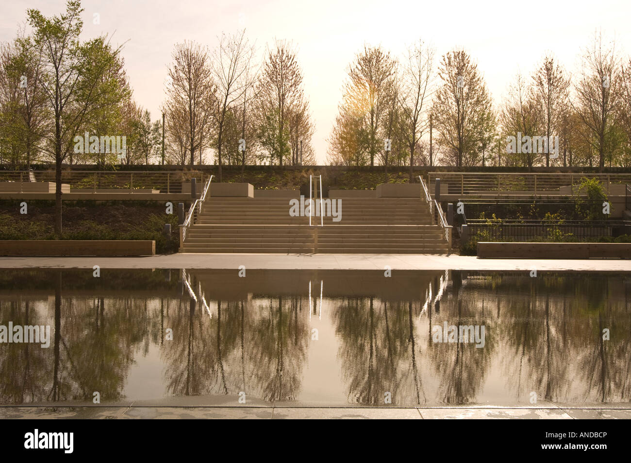 TREE REFLECTIONS IN SHALLOW REFLECTING POOL Stock Photo - Alamy