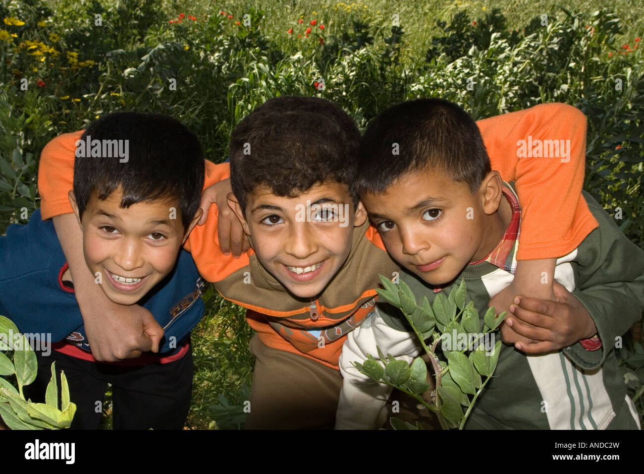 Tarhouna hi-res stock photography and images - Alamy