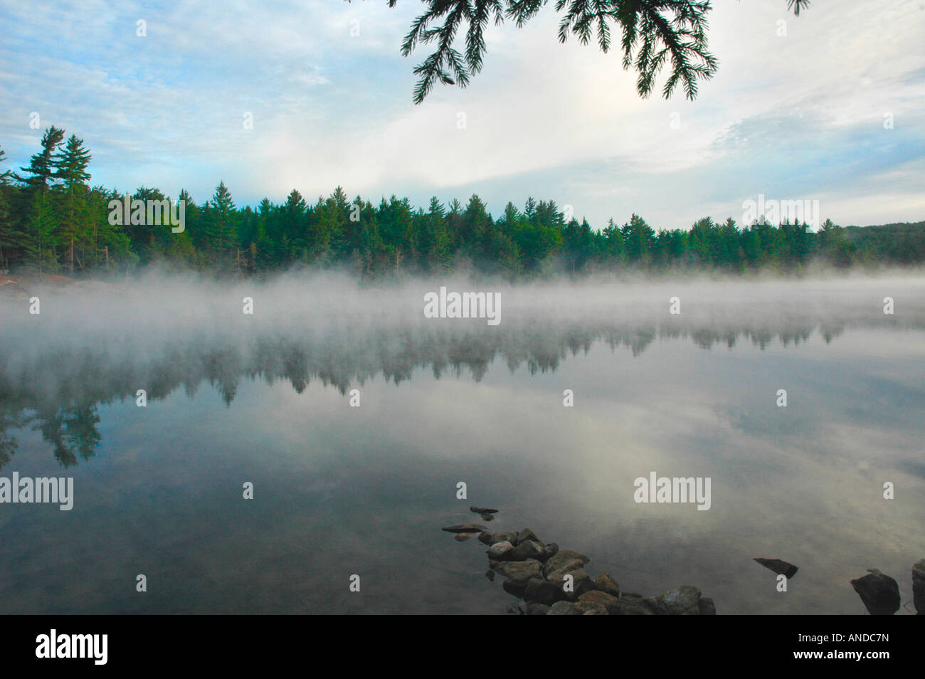Rising from a lake hi-res stock photography and images - Alamy