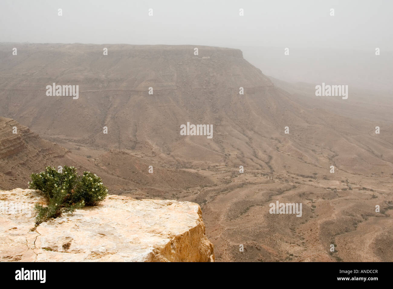Gibli hi-res stock photography and images - Alamy