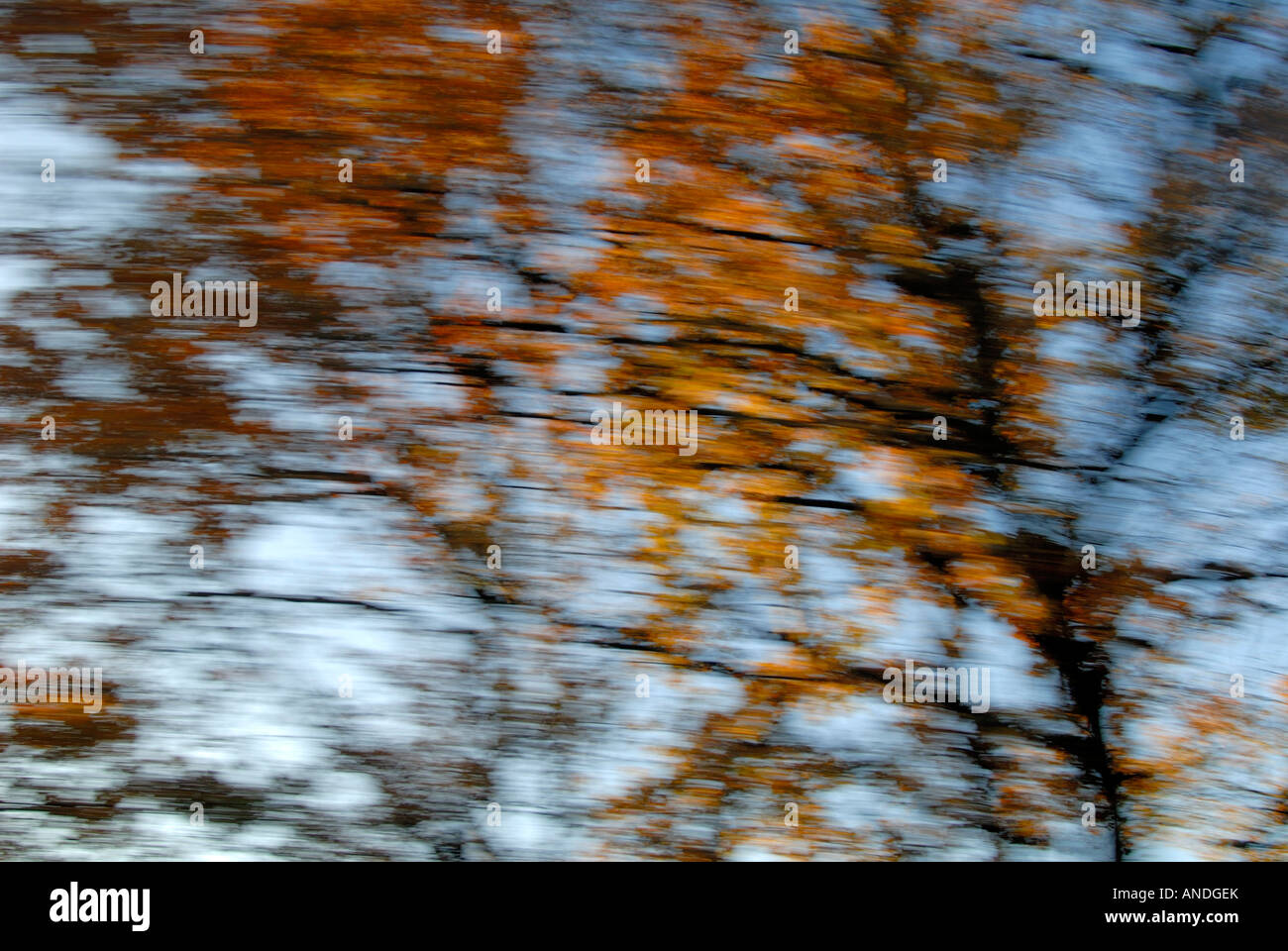 Blurred speeding motion through trees, France Stock Photo - Alamy