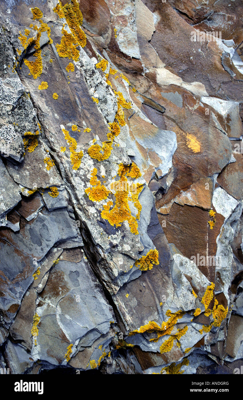 Natural stone texture, Wales Stock Photo - Alamy