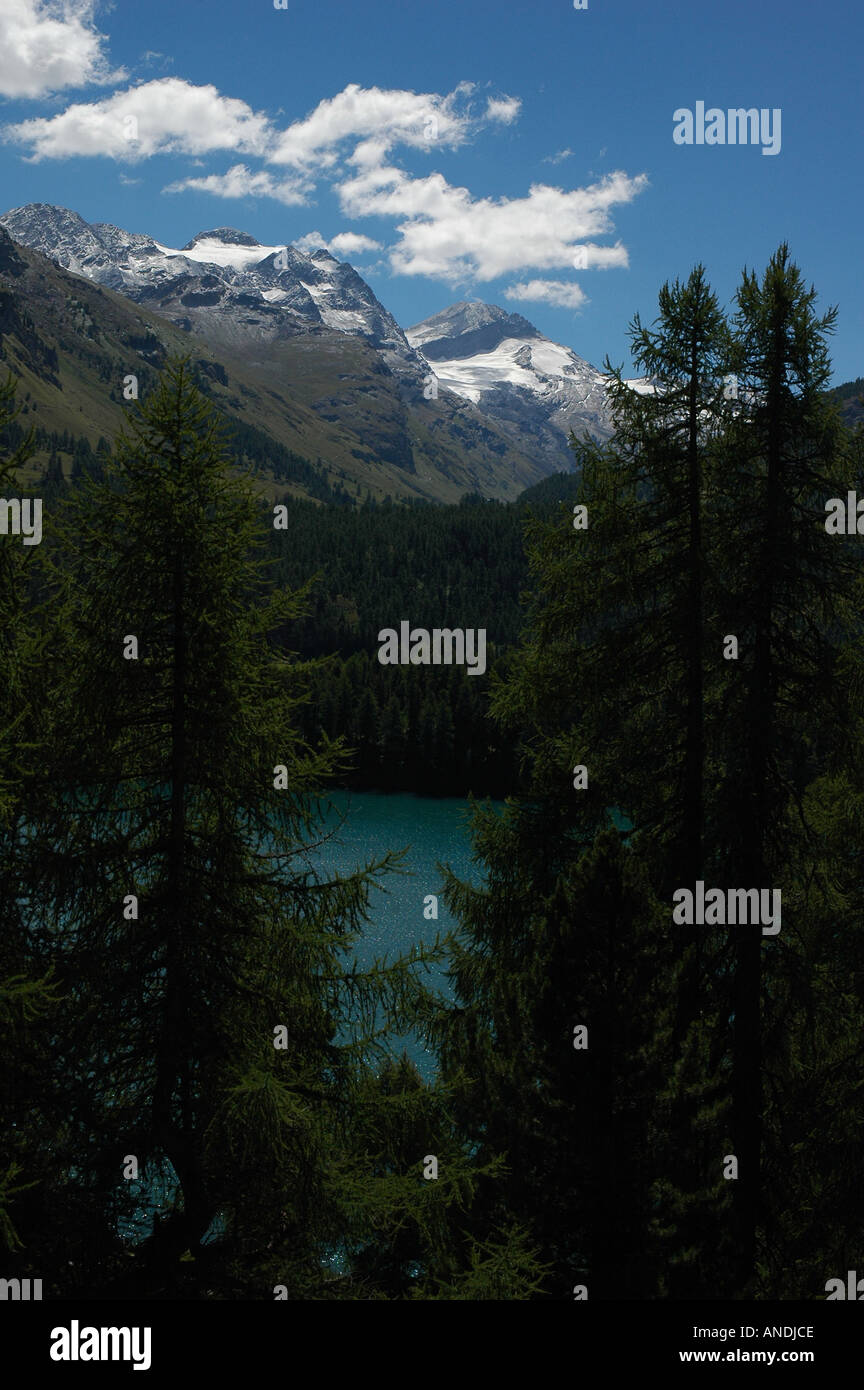 Lake of Sils in the Engadin Switzerland Stock Photo - Alamy