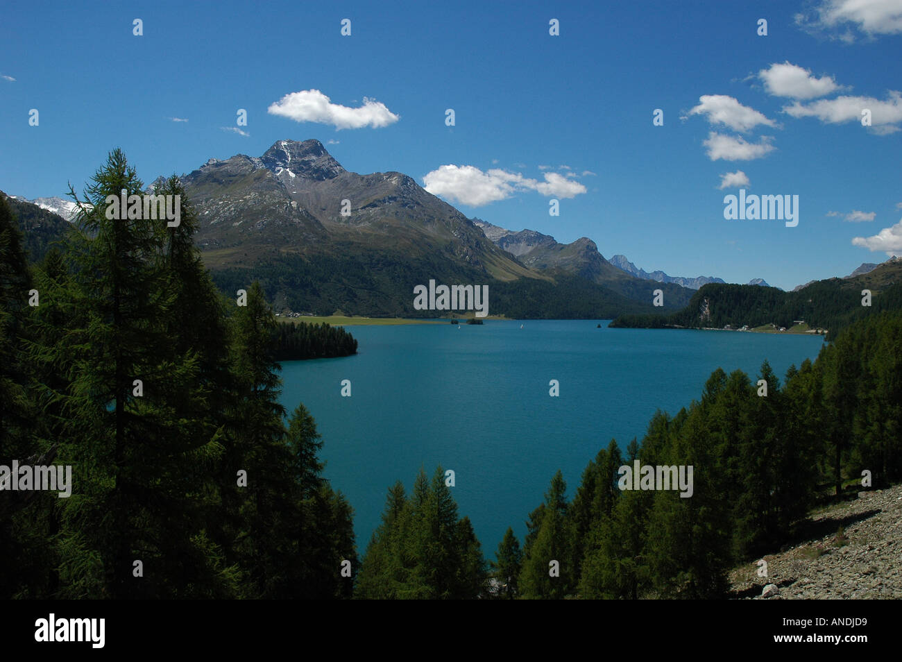 Lake of Sils in the Engadin Switzerland Stock Photo - Alamy