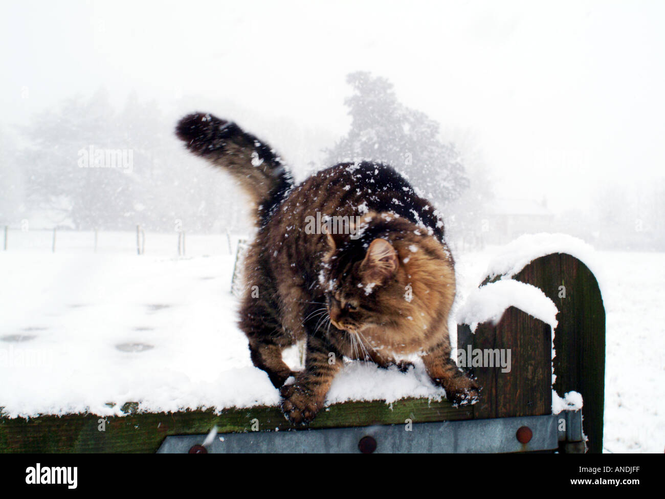 Cold now hi-res stock photography and images - Alamy