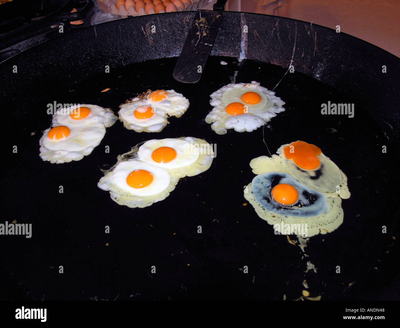 Fischmarkt sunday fish market Hamburg Germany german travel attraction ...