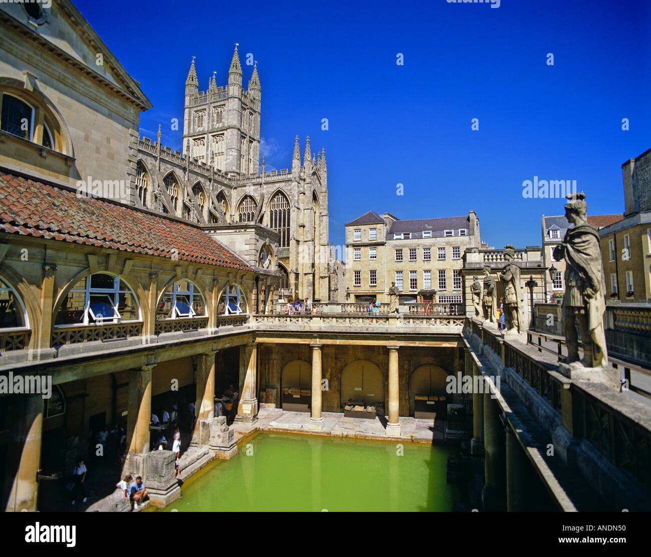 The Great Bath at the Roman Baths and Bath Abbey in Bath Somerset ...
