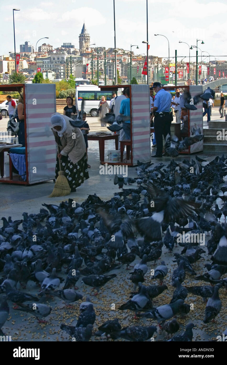 Pigeons in the square at Yeni Camii mosque in Istanbul Stock Photo - Alamy