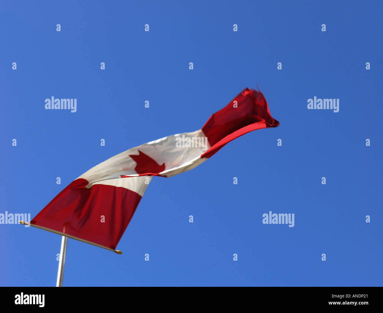 Canadian canada national flag symbol patriotic banner icon nation ...