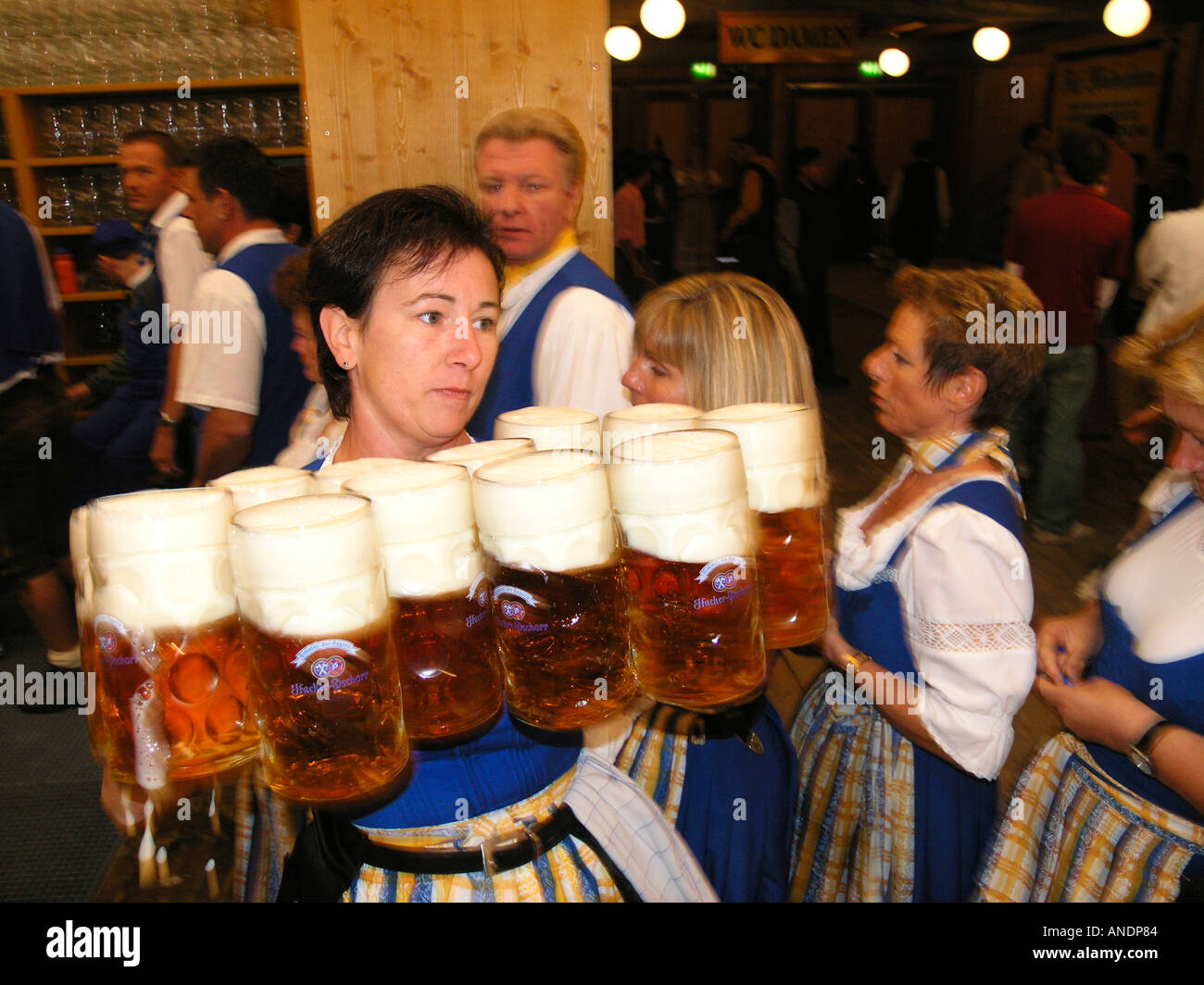 Oktoberfest Dirndl Bier Bear Mountain Oktoberfest 2024 Guest