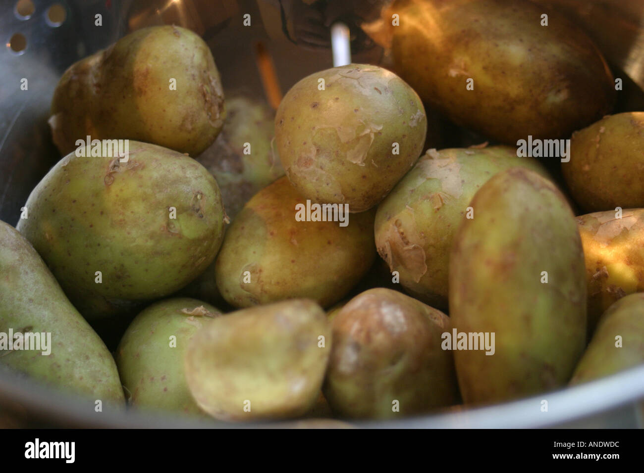 Colande hi-res stock photography and images - Alamy