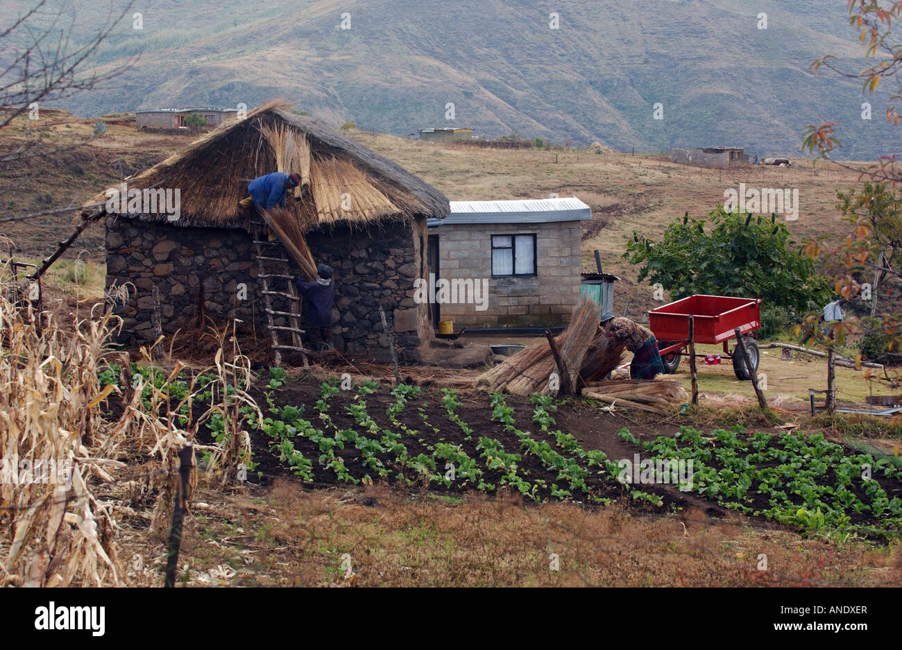 Basotho High Resolution Stock Photography and Images - Alamy