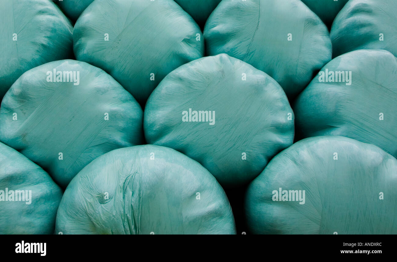 Plastic covered silage hay bales Cotswolds United Kingdom Stock Photo ...
