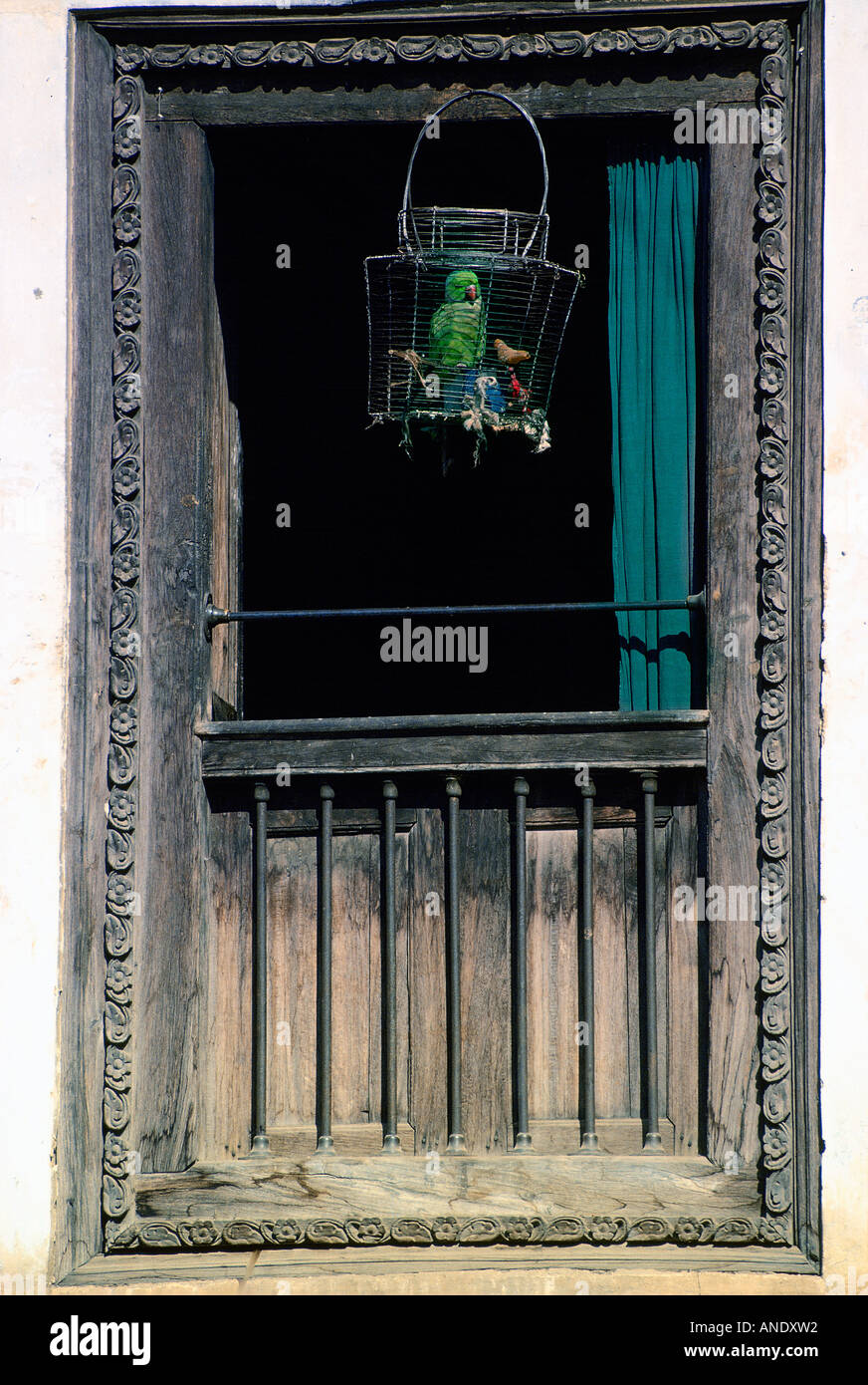 Parrot virus hi-res stock photography and images - Alamy