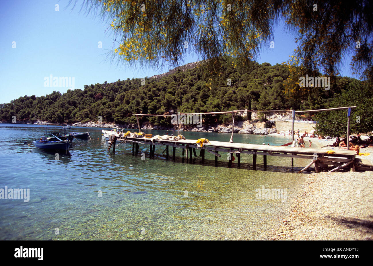 greece sporades skopelos agnontas beach Stock Photo - Alamy