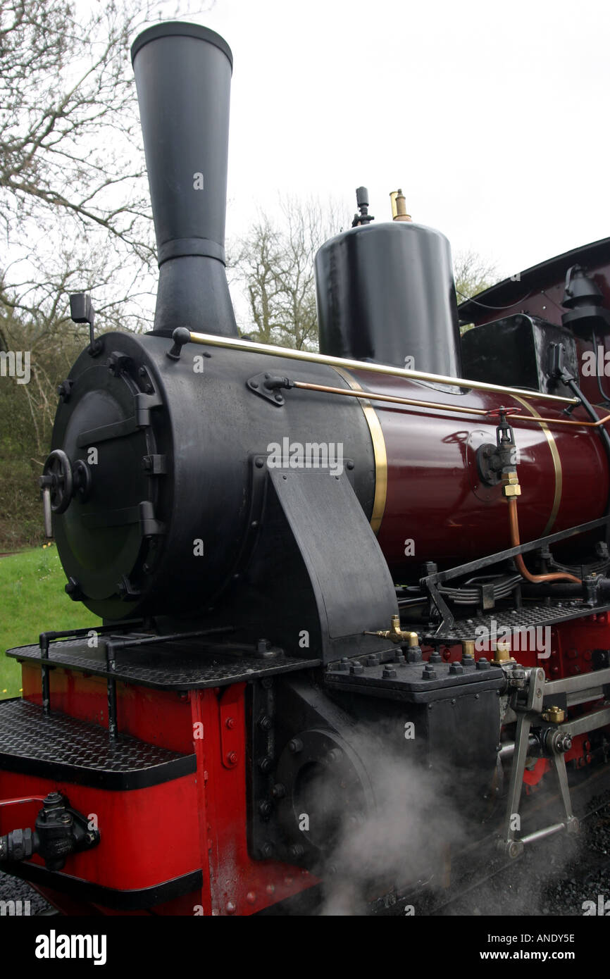The Graf Schwerin Lowitz locomotive at Pant Station Brecon Mountain ...