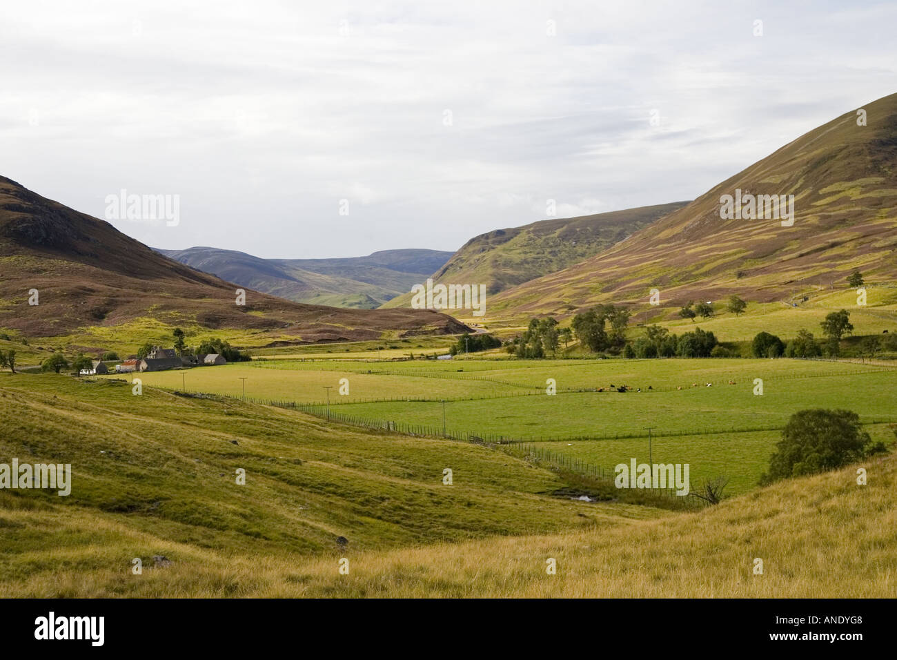 Glen Clunie Scotland Stock Photo - Alamy